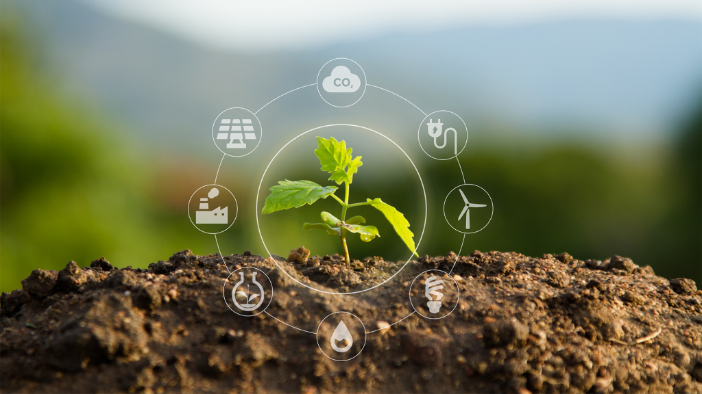 Memanfaatkan Energi Baru Terbarukan dengan Konservasi Hutan - APROBI