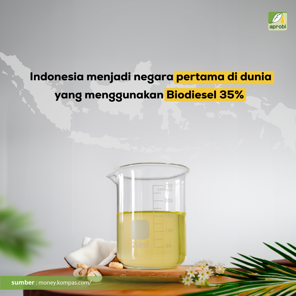 Indonesia Menjadi Negara Pertama di Dunia yang Terapkan B35