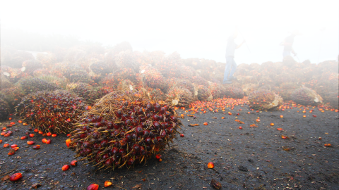 Biodiesel Implementation in Indonesia - APROBI