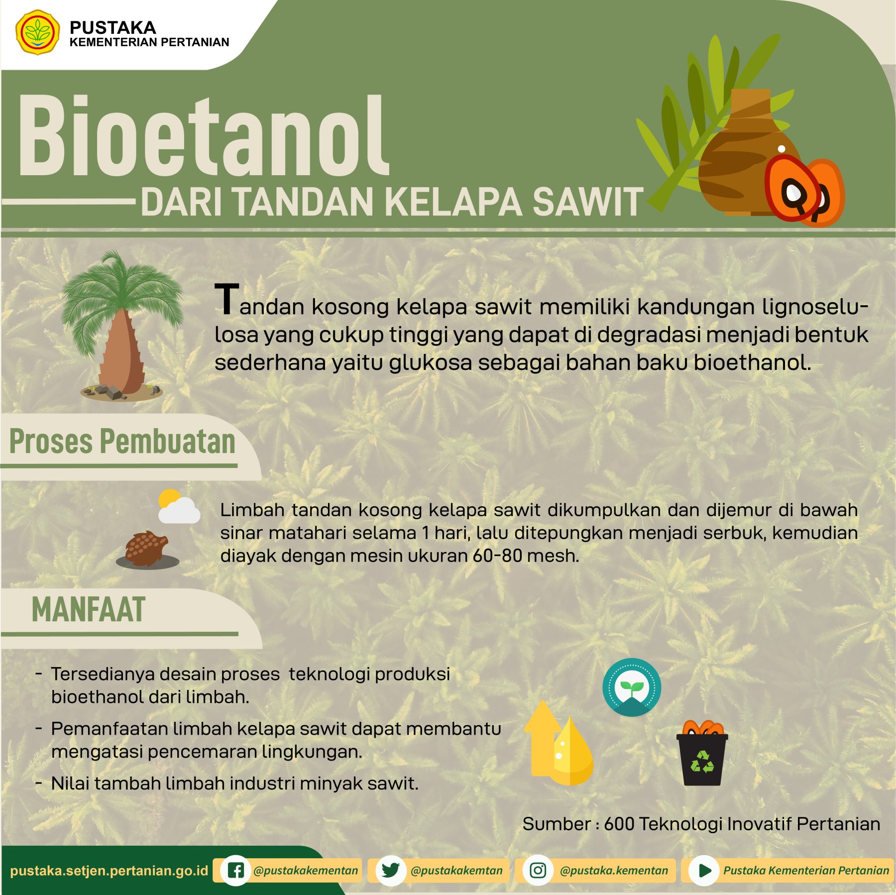 Tandan Kosong Kelapa Sawit Bisa Percepat NZE 2050 - APROBI